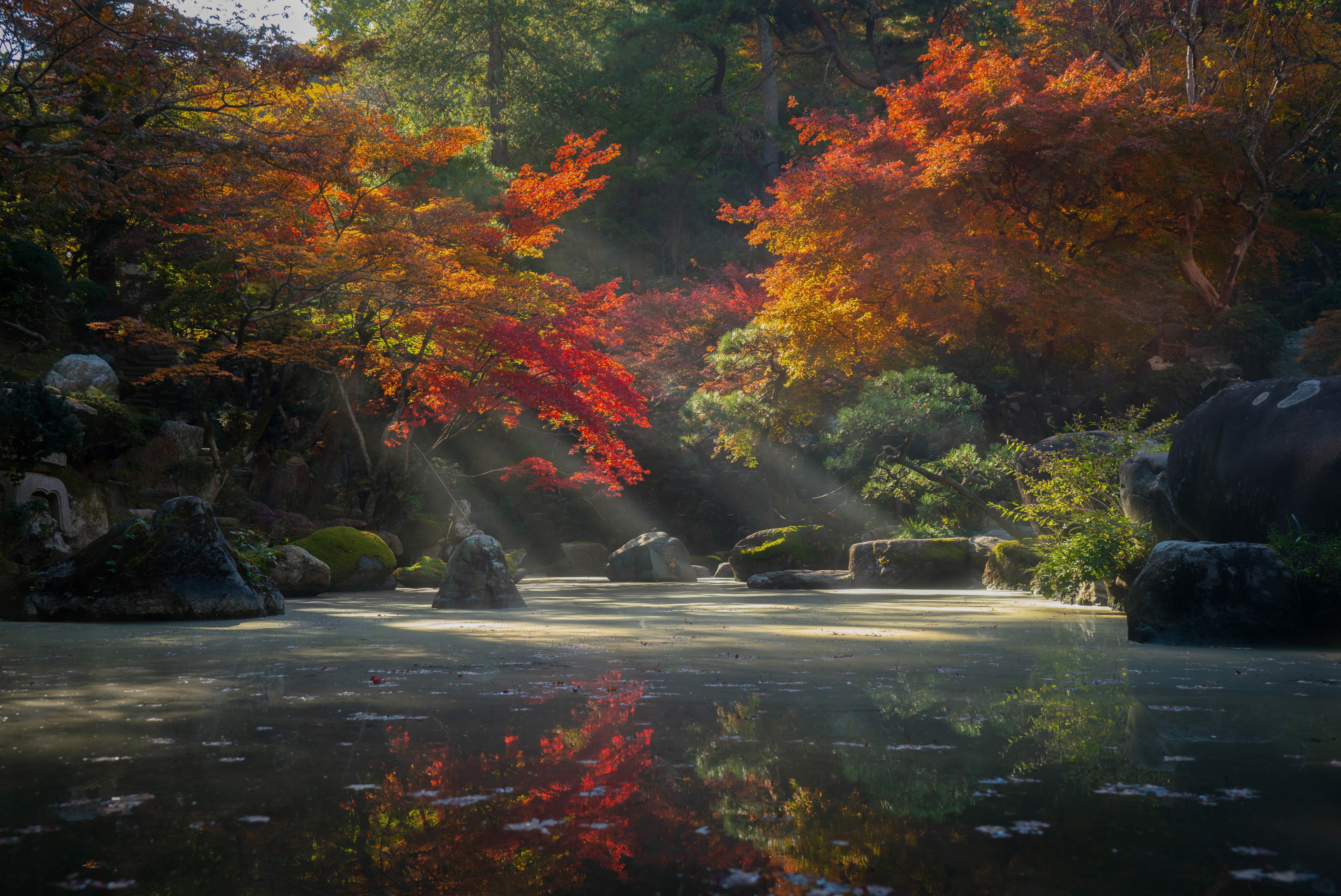 Serenity